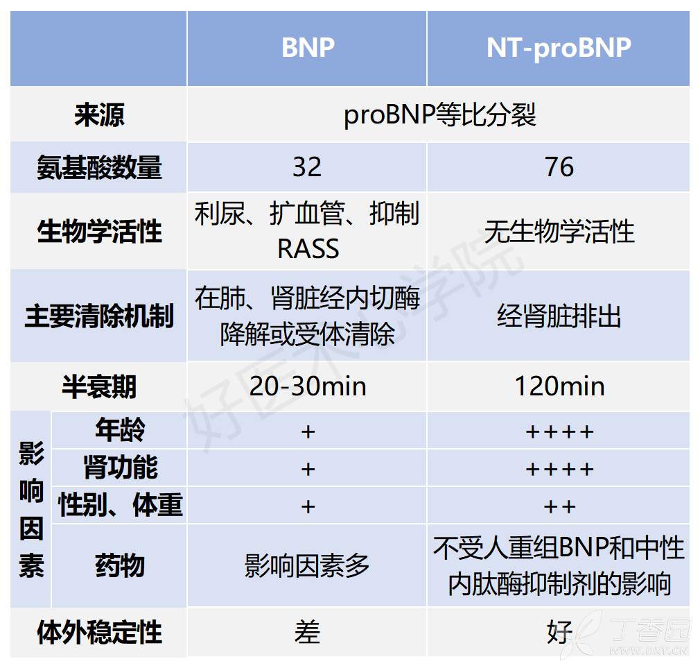 BNNT-proBNP 傻傻分不清P、？一文细说哪不同（转发）-春雨医生